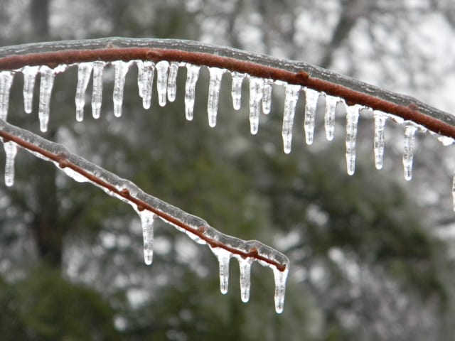 Freezing Rain Advisory Issued for Centre County | State College, PA
