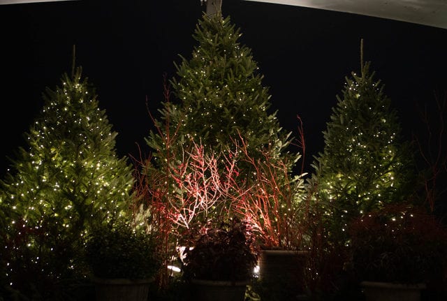 TGIF: State College Weekend Events for Dec. 20-23 | State College, PA