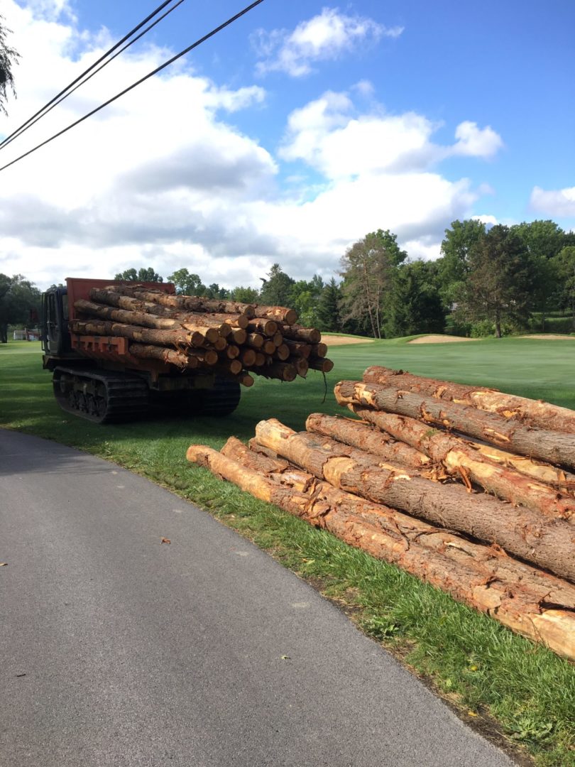 Work Begins on Stream Restoration of Slab Cabin Run at Centre Hills ...