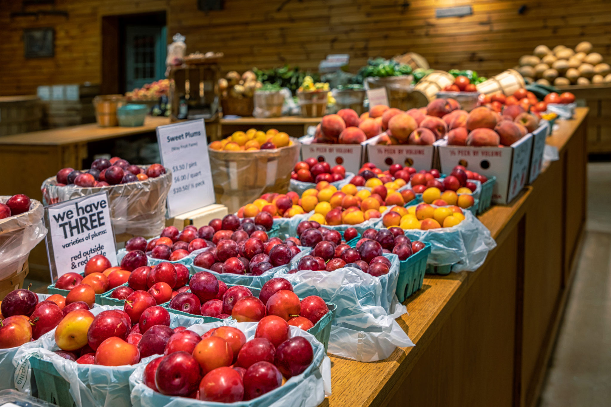 A Way to Grow: Way Fruit Farm extends its roots | Town&Gown ...