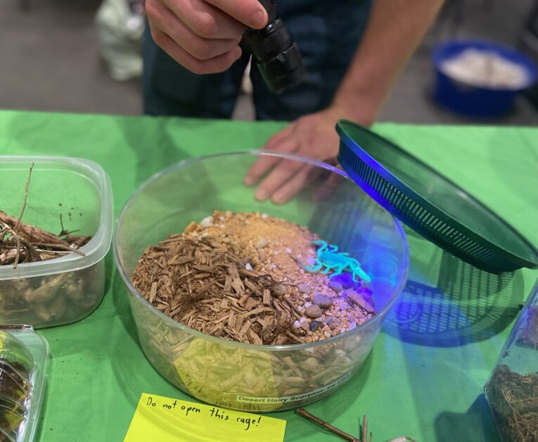 The Great Insect Fair returns | Centre County Gazette | StateCollege.com