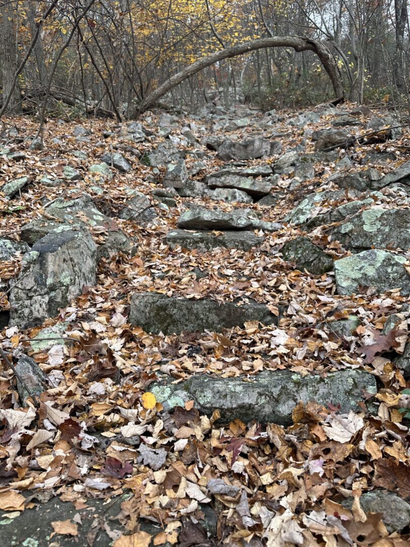 The Indian Steps Trail Is Worth the Effort | State College, PA