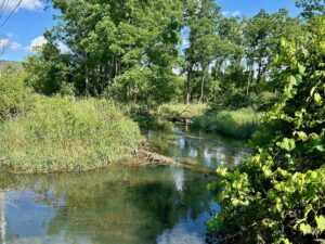 150 Years of Milestones in College Township | State College, PA