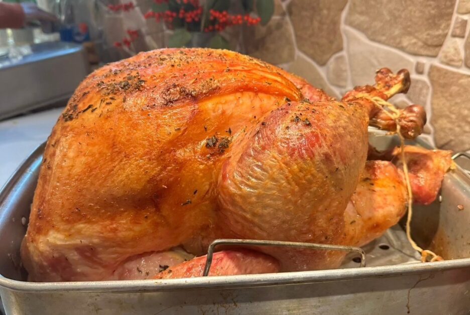 From Farm to Feast: Turkey Production in Full Swing at Local Farm ...