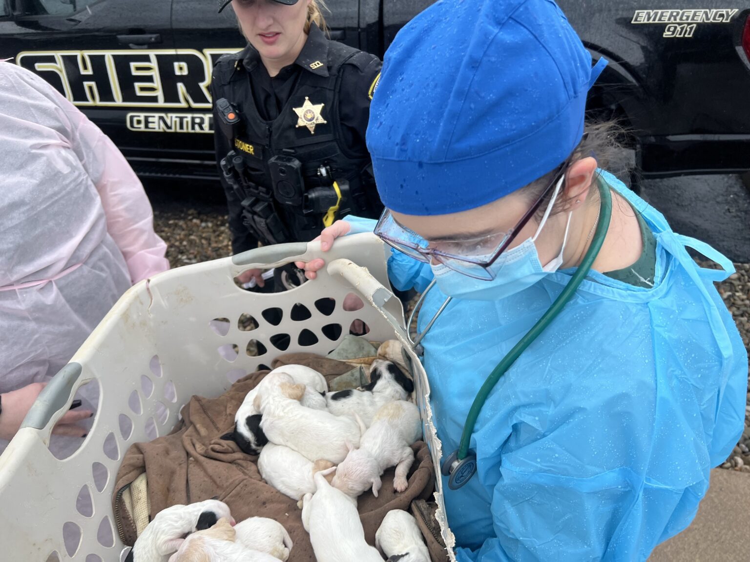 Centre County PAWS Caring for Dozens of Dogs Removed From Home ...
